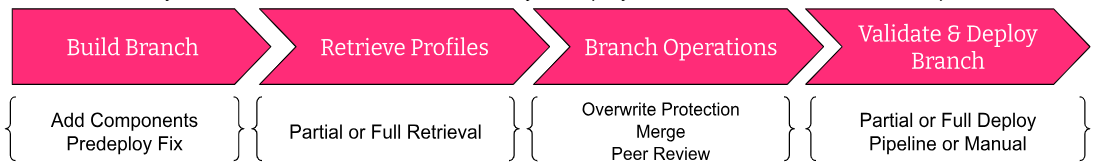 Profile & Permission Set Retrieval and Deployment